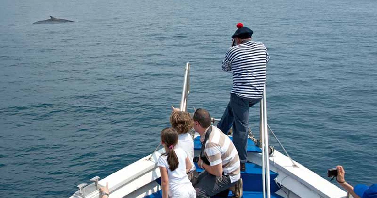 Al via le escursioni in mare con i biologi dell'Acquario di Genova ...