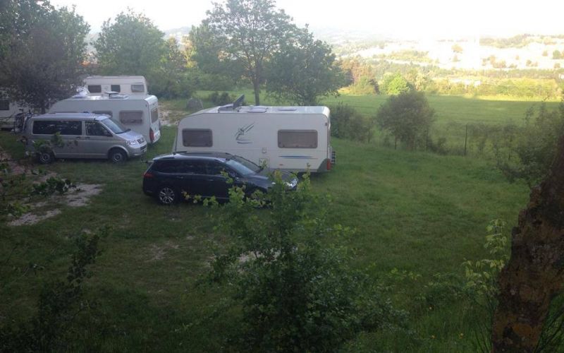 Pineta - Urbino Pesaro e Urbino Marche | Camperlife